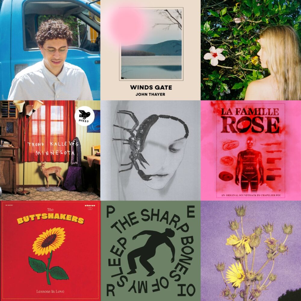 Les 10 albums de la semaine : Alice Phoebe Lou, Adeline Hotel, Perio ...